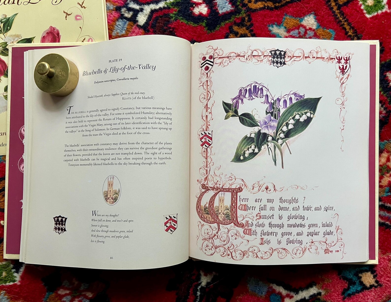 Victorian Flower Book: Fanny Robinson's 1840s Flower Studies, 1999 ...