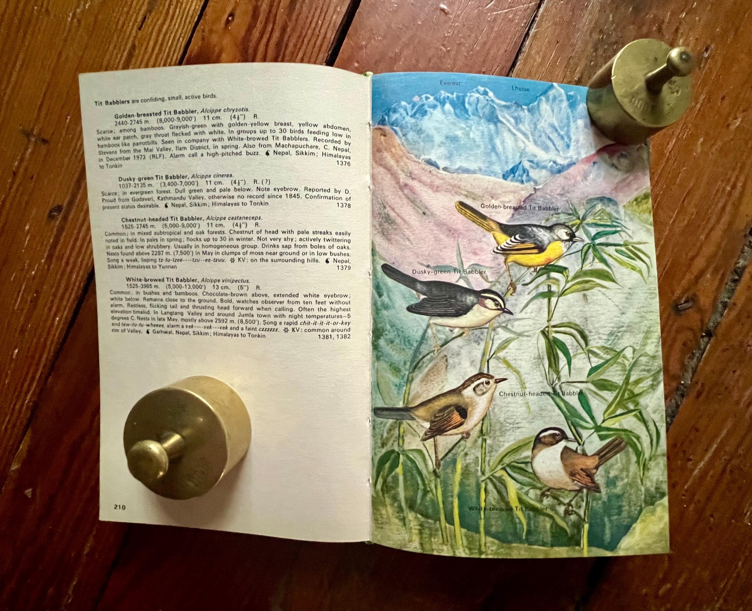 1979 Birds of Nepal Field Guide Fleming Kashmir Sikkim Vintage ...