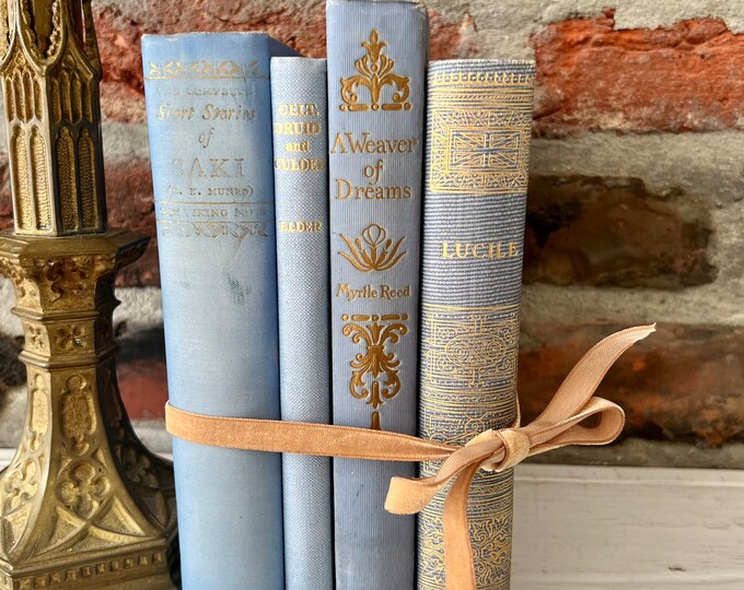 Vintage Blue Book Stack, Faded Blue and Gold Books, Shabby Display ...