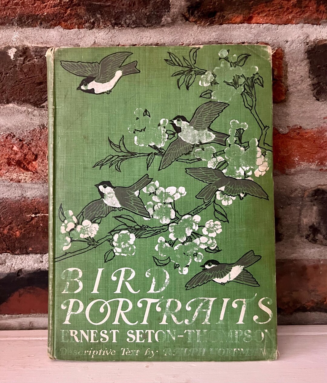 Bird Portraits, by Ernest Seton-thompson, First Edition, 1901, Bird ...