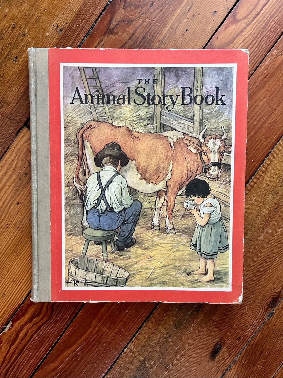 The Animal Story Book by Gladys E. Toon, Illustrated by Clara M. Burd ...