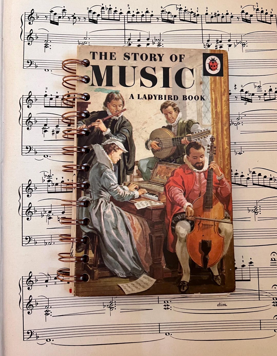 Vintage Ladybird Music Journal: Altered Book for Mixed Media - Etsy