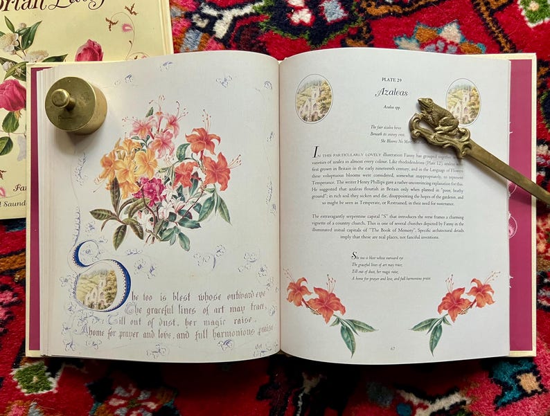 Victorian Flower Book: Fanny Robinson's 1840s Flower Studies, 1999 ...