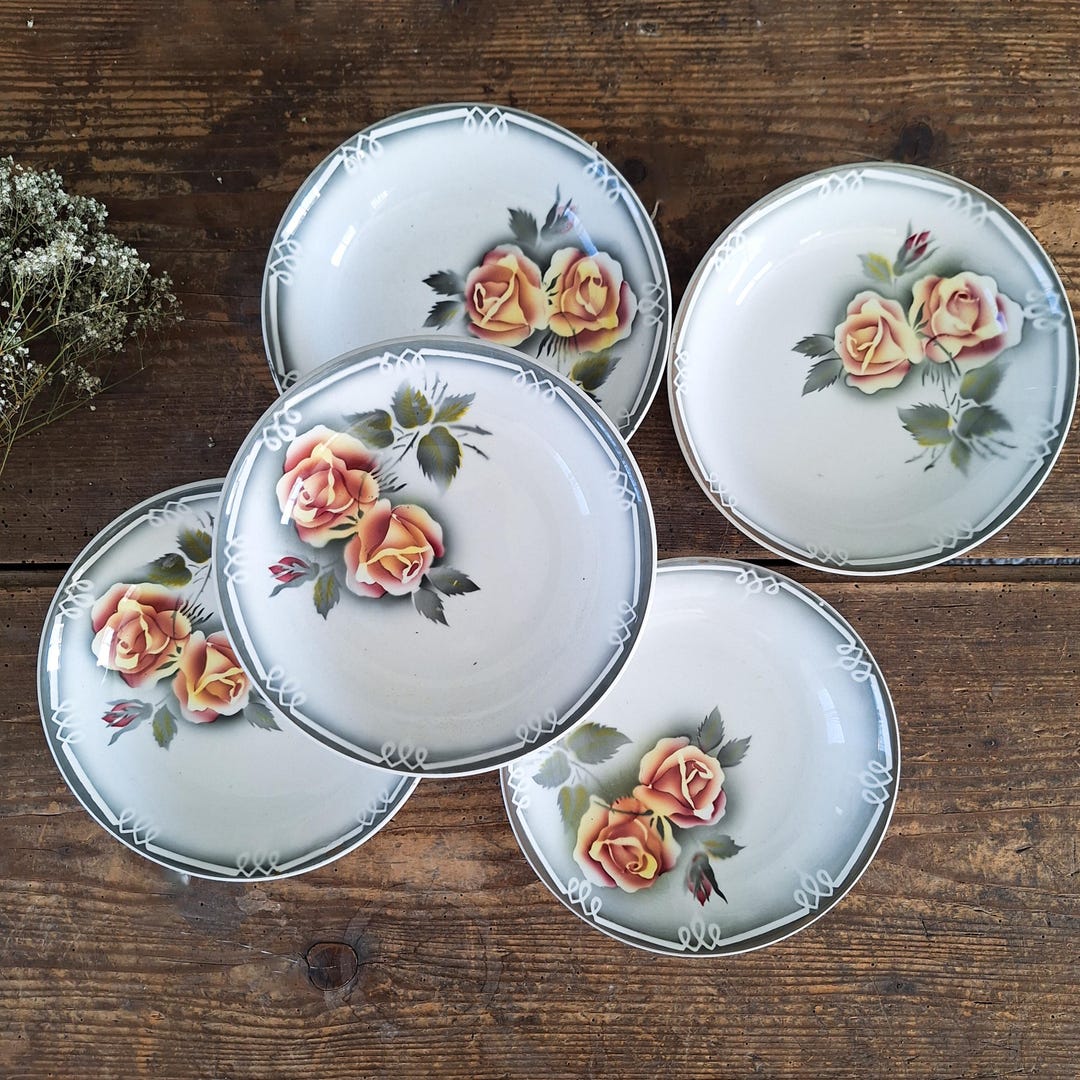 Set of 5 Vintage French Soup Plates Set Digoin Sarreguemines ODILE ...
