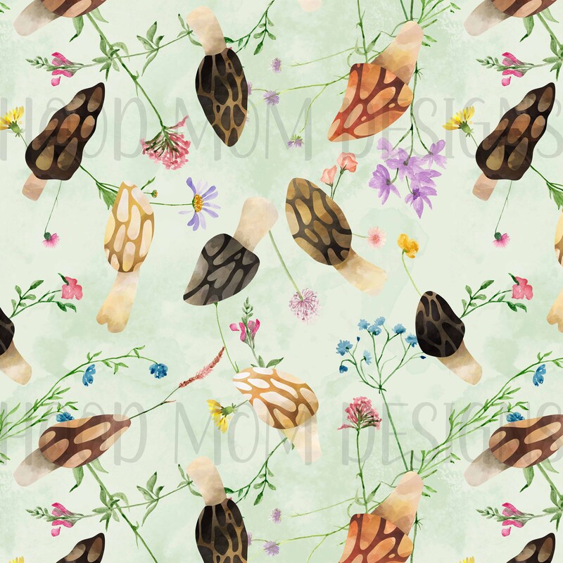 Morel Mushrooms - Etsy