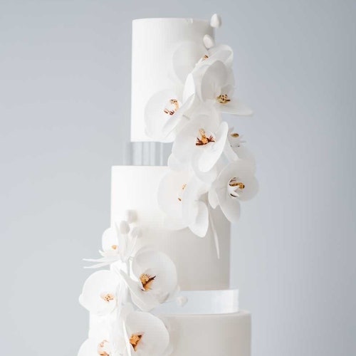 30mm Ultra Polished Acrylic Cake Separator - Etsy