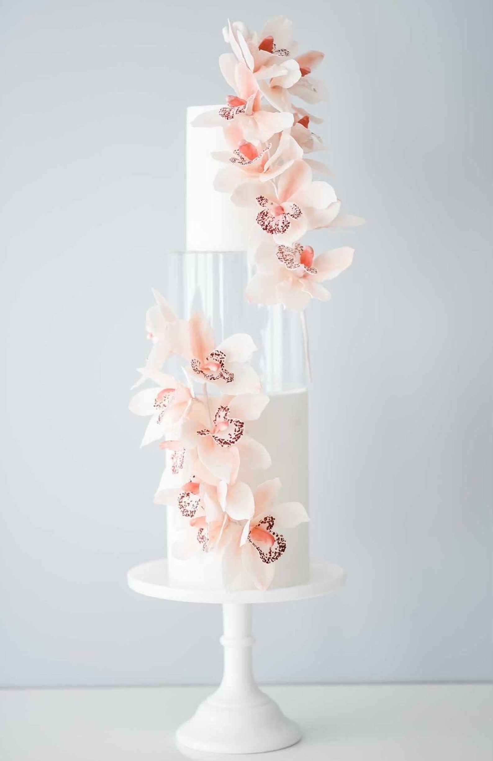 Fillable Clear Cake Tier - Etsy UK