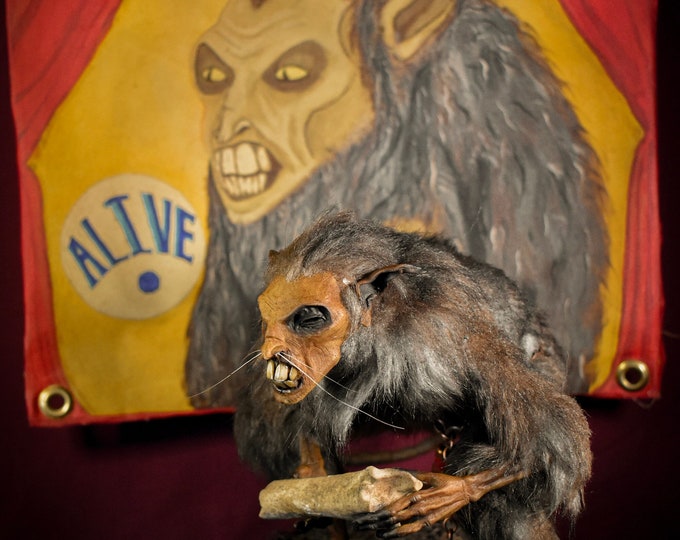 Mummified Rat Boy Automaton Sideshow Gaff With Banner - Etsy
