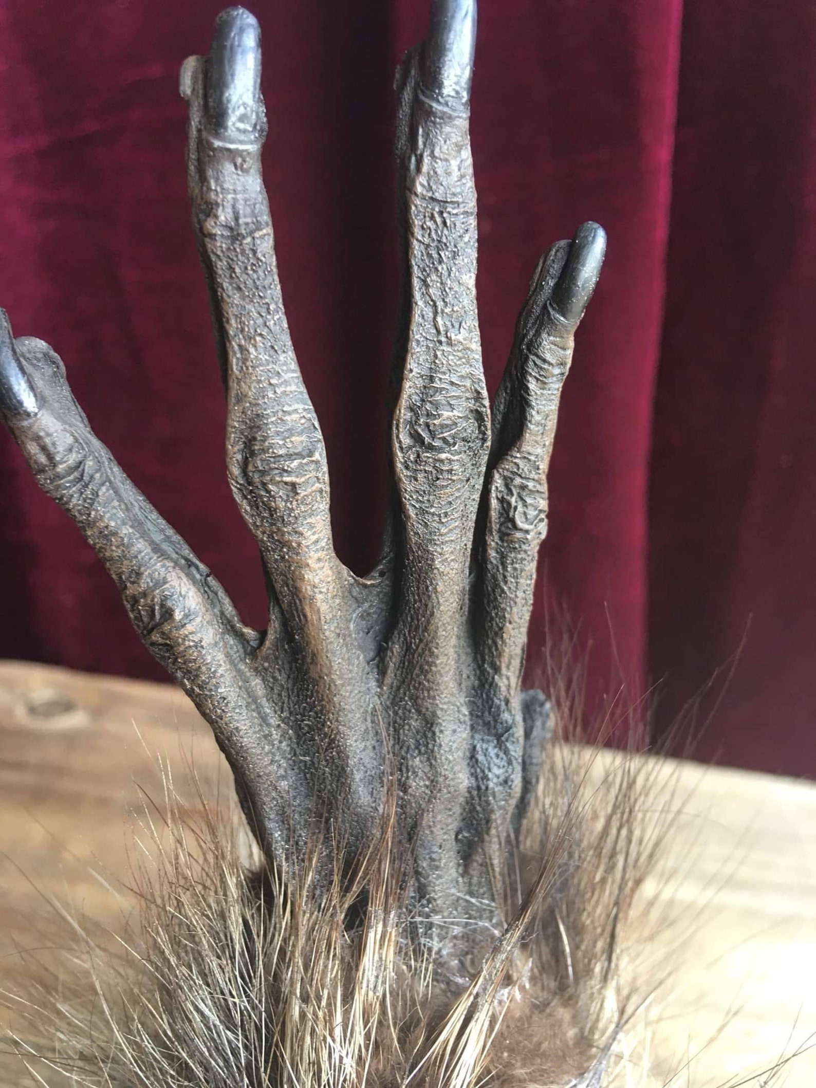 Cursed Monkey's Paw Sideshow Gaff - Etsy