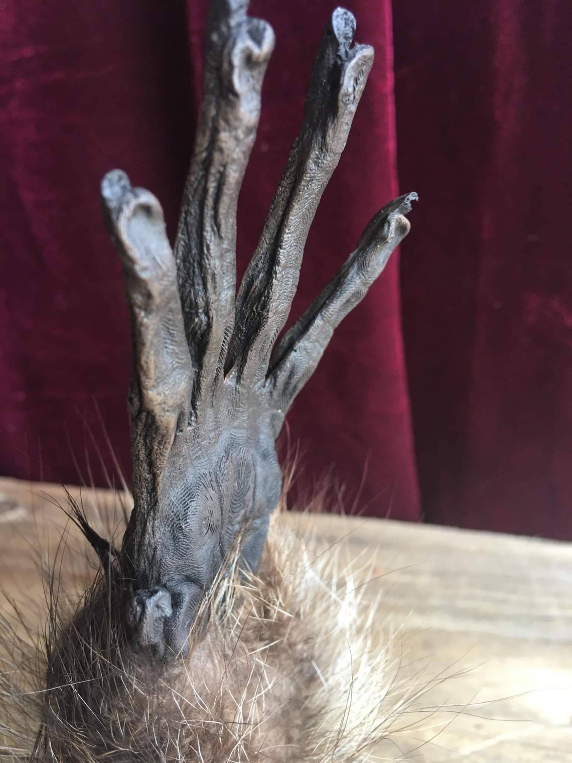 Cursed Monkey's Paw Sideshow Gaff - Etsy