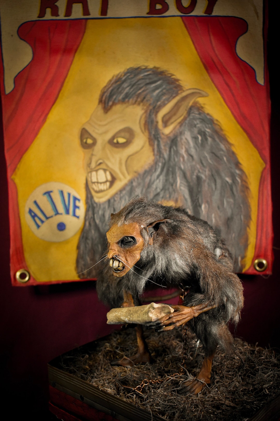 Mummified Rat Boy Automaton Sideshow Gaff With Banner - Etsy