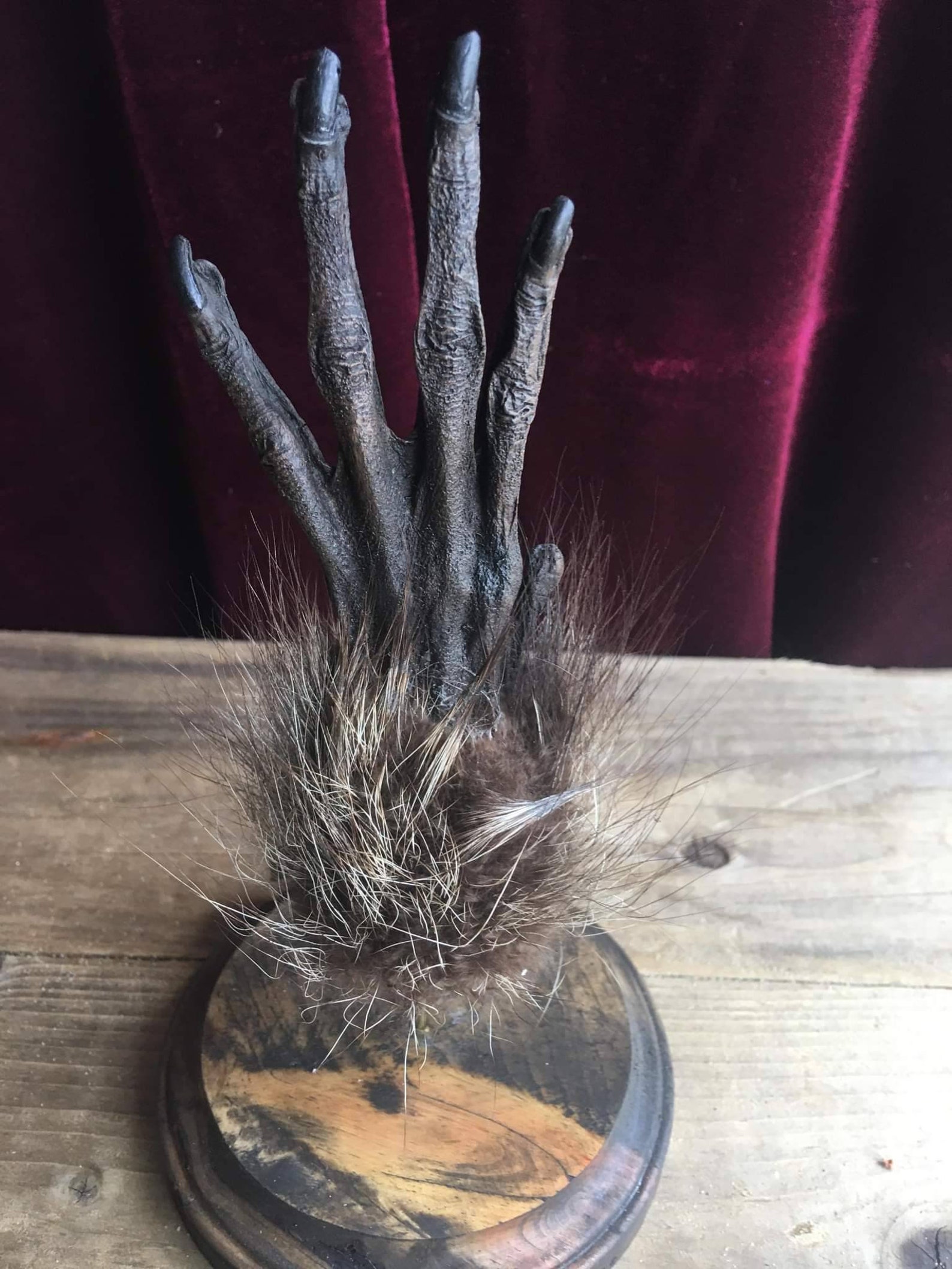 Cursed Monkey's Paw Sideshow Gaff - Etsy