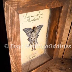 Mummified Fairy lesser Fae Tiny Mummified Fairy Sculpture - Etsy