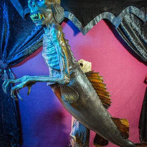 Fiji Mermaid Sideshow Gaff LARGE - Etsy