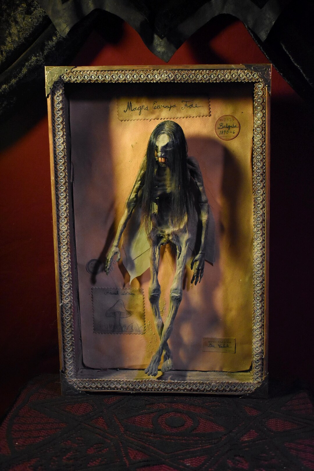 Large Mummified Fairy (magna Europa Fae) Sideshow Gaff Oddity - Etsy