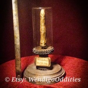 Mummified Replica Finger in Display (gaff, H.H. Holmes) - Etsy