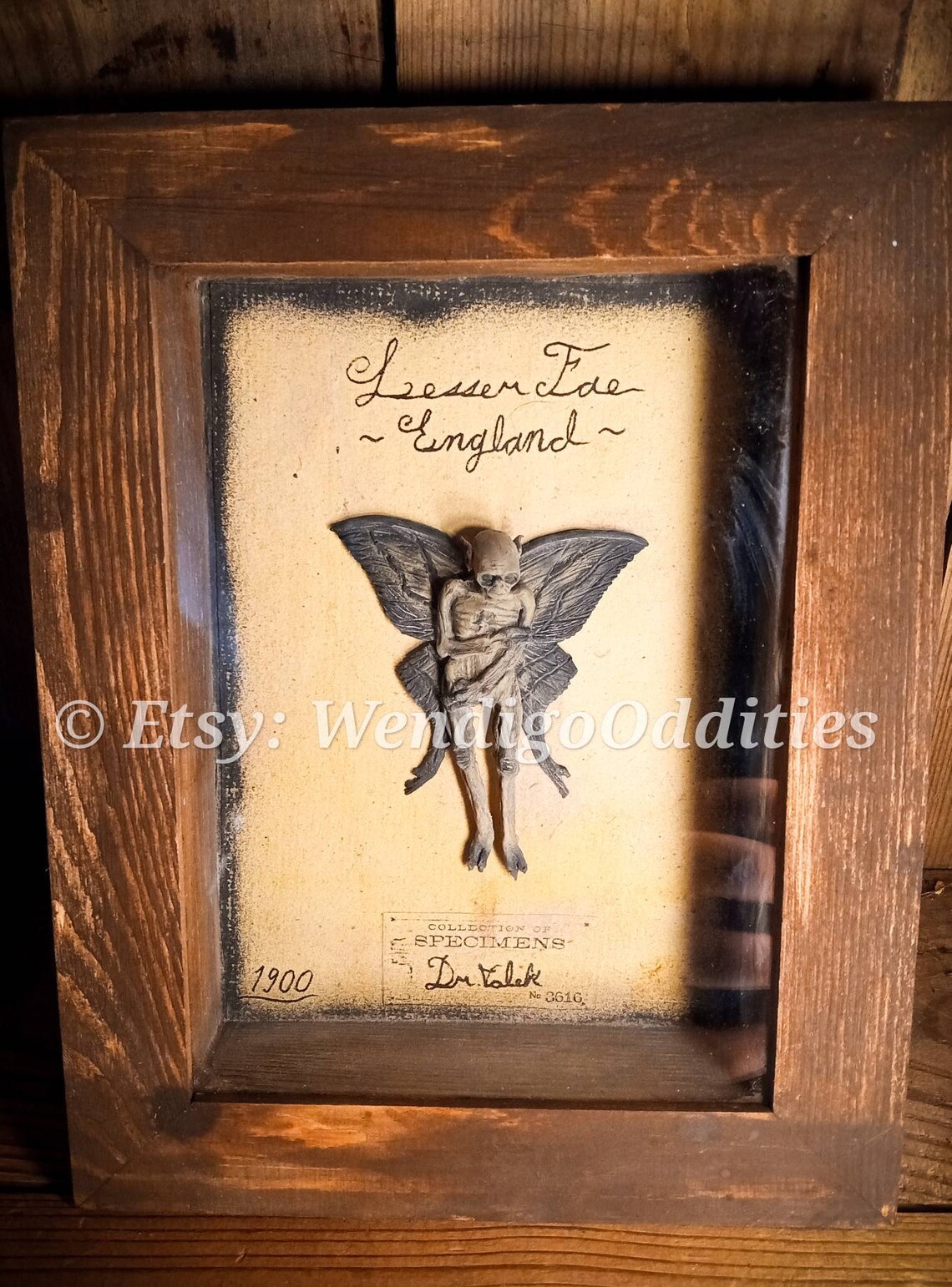 Mummified Fairy lesser Fae Tiny Mummified Fairy Sculpture - Etsy