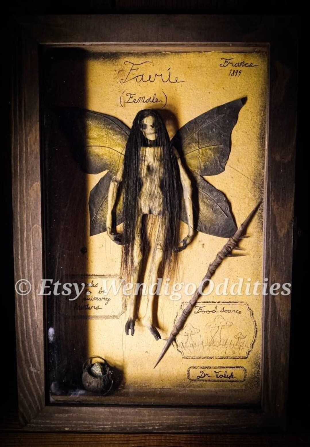 Mummified Fairy (female) (as Seen on the Fox Show Snake Oil!) - Etsy