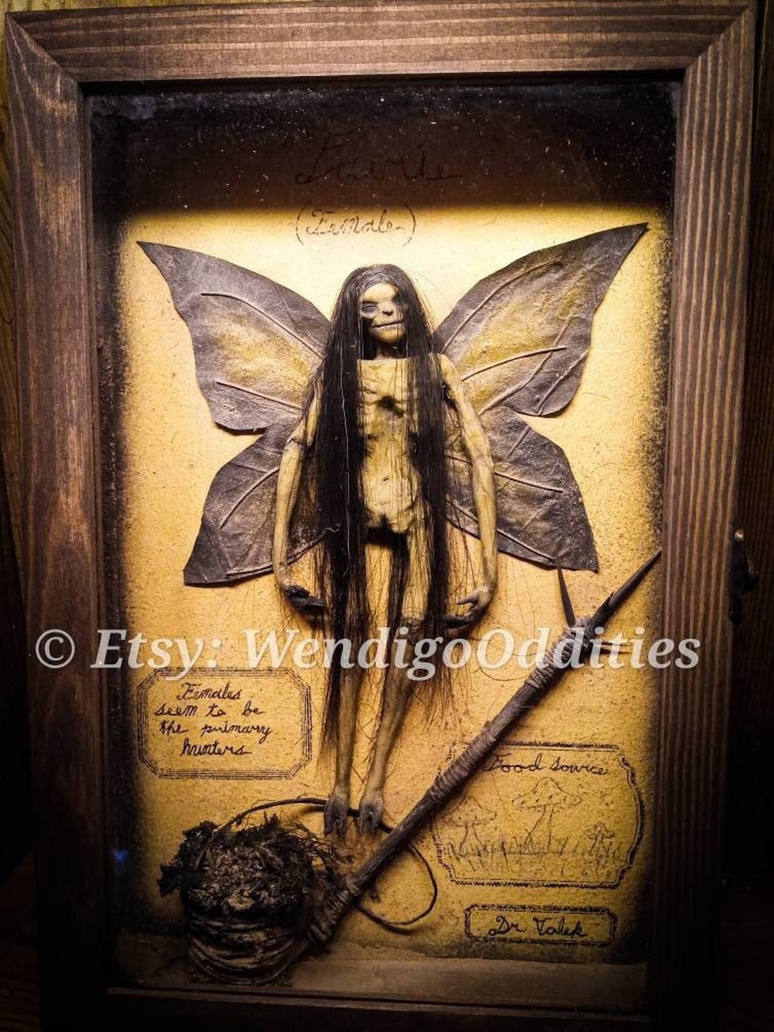 Mummified Fairy (female) (as Seen on the Fox Show Snake Oil!) - Etsy