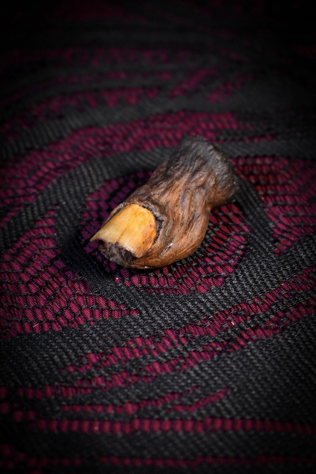 Mummified Toe Replica (sourtoe) - Etsy