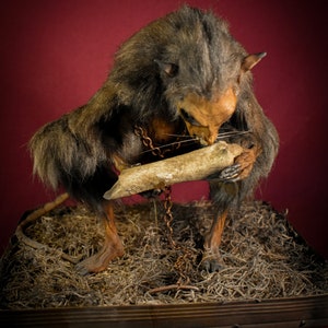 Mummified Rat Boy Automaton Sideshow Gaff With Banner - Etsy