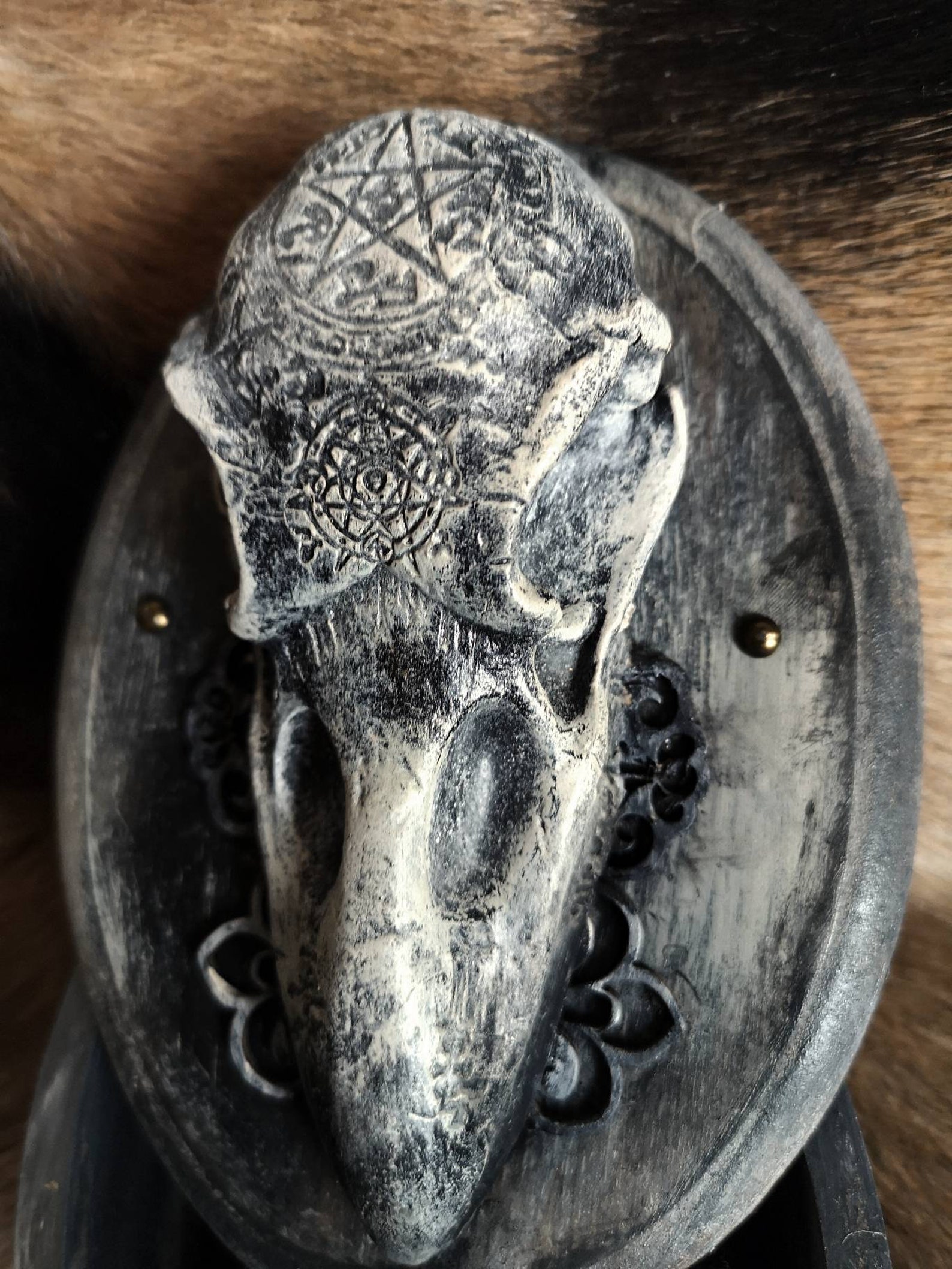 Raven Skull Trinket Box Odin Raven Viking Pagan Jewelry Box Medieval ...