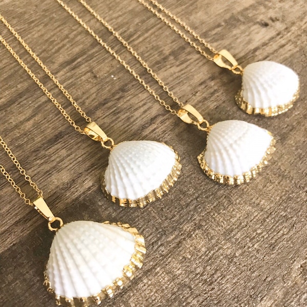 Sea Shell Necklace - Etsy