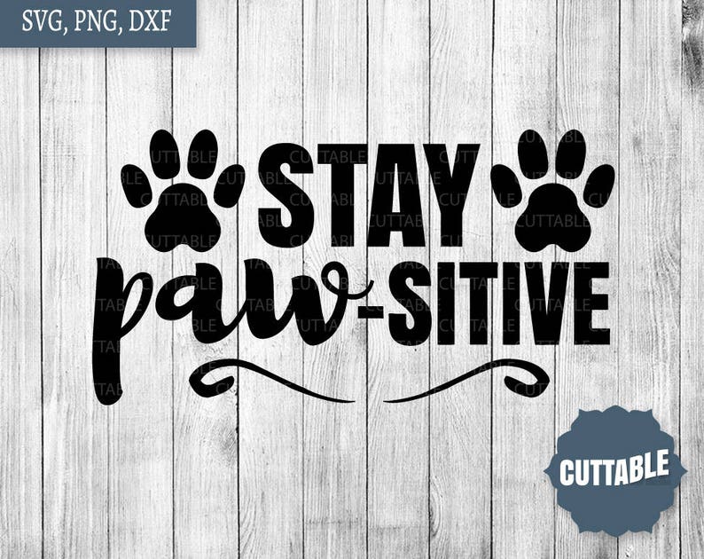 Stay Pawsitive Svg Files Cat Pun Quote Cut Files Cat Lover - Etsy