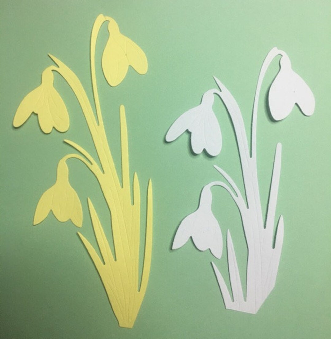 8 Snowdrop Die Cuts, Flowers, Snowdrop Die Cut Flowers, January ...