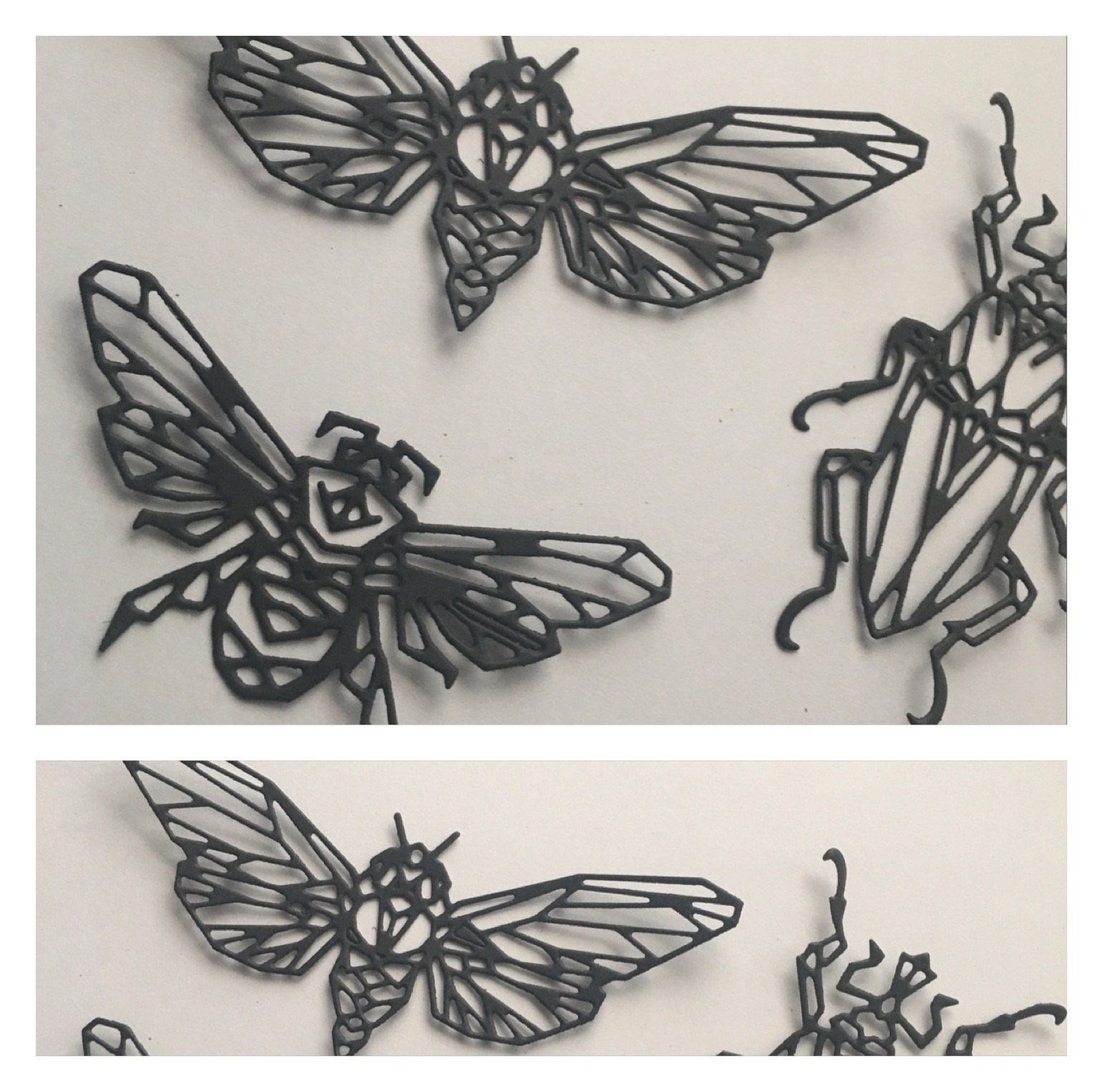 Insect Die Cut, Moth Die Cuts, Bug Die Cuts, Insect Die Cuts, Halloween ...