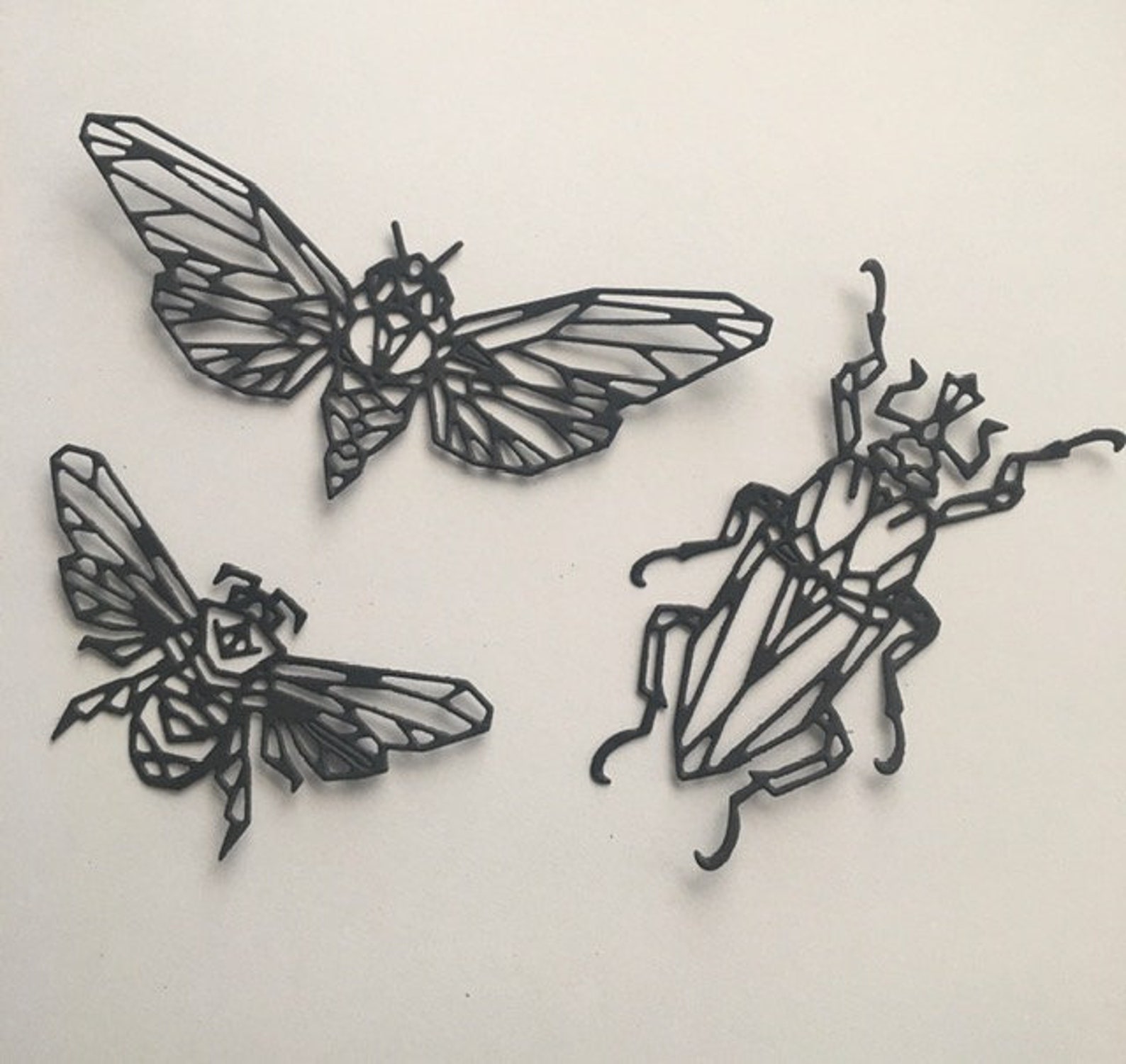 Insect Die Cut, Moth Die Cuts, Bug Die Cuts, Insect Die Cuts, Halloween ...