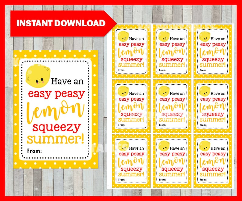 Easy Peasy Lemon Squeezy Summer Lemonade Teacher Appreciation Hanging ...