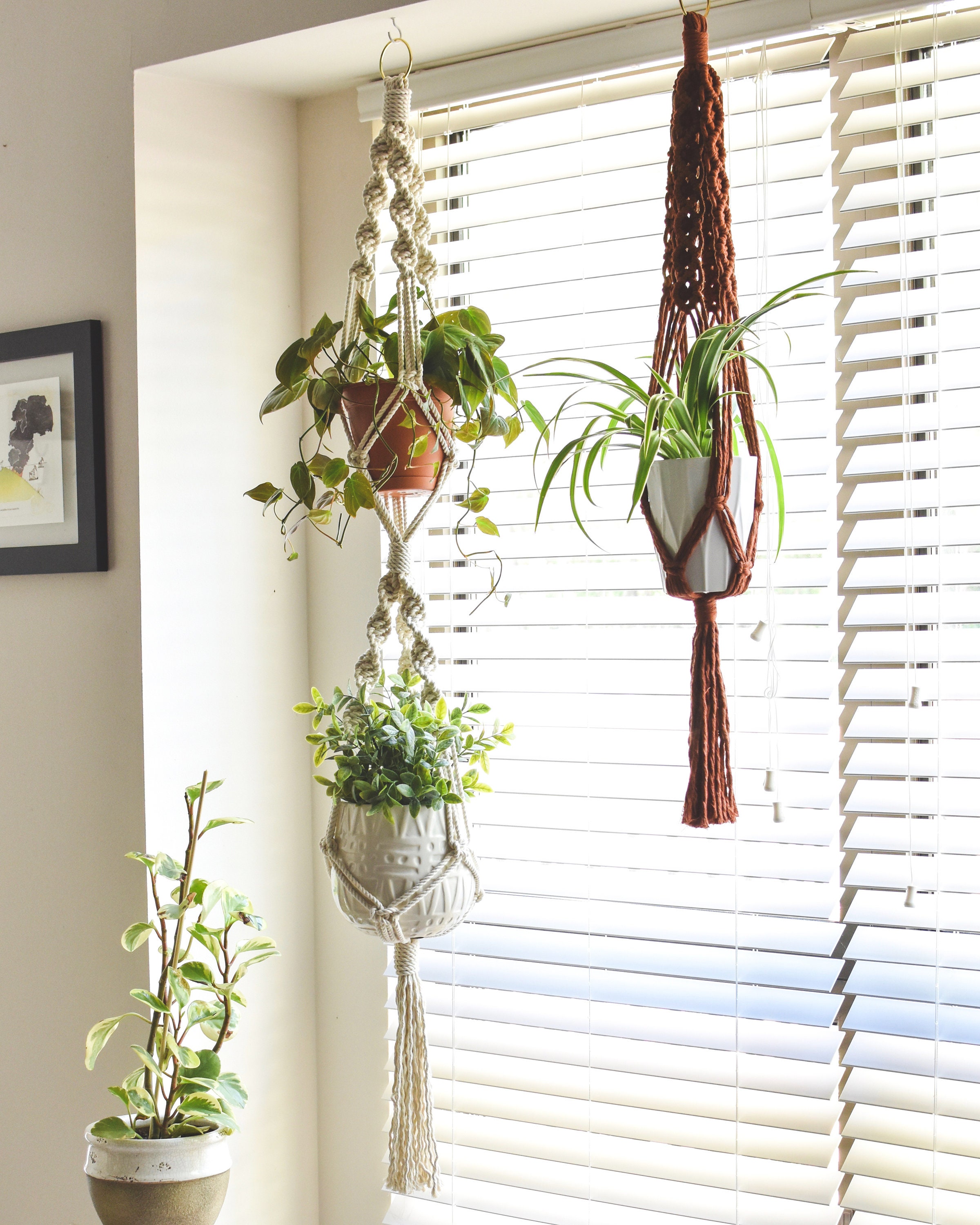 Handmade Macrame Indoor Double Plant Hanger Plant Decor | Etsy