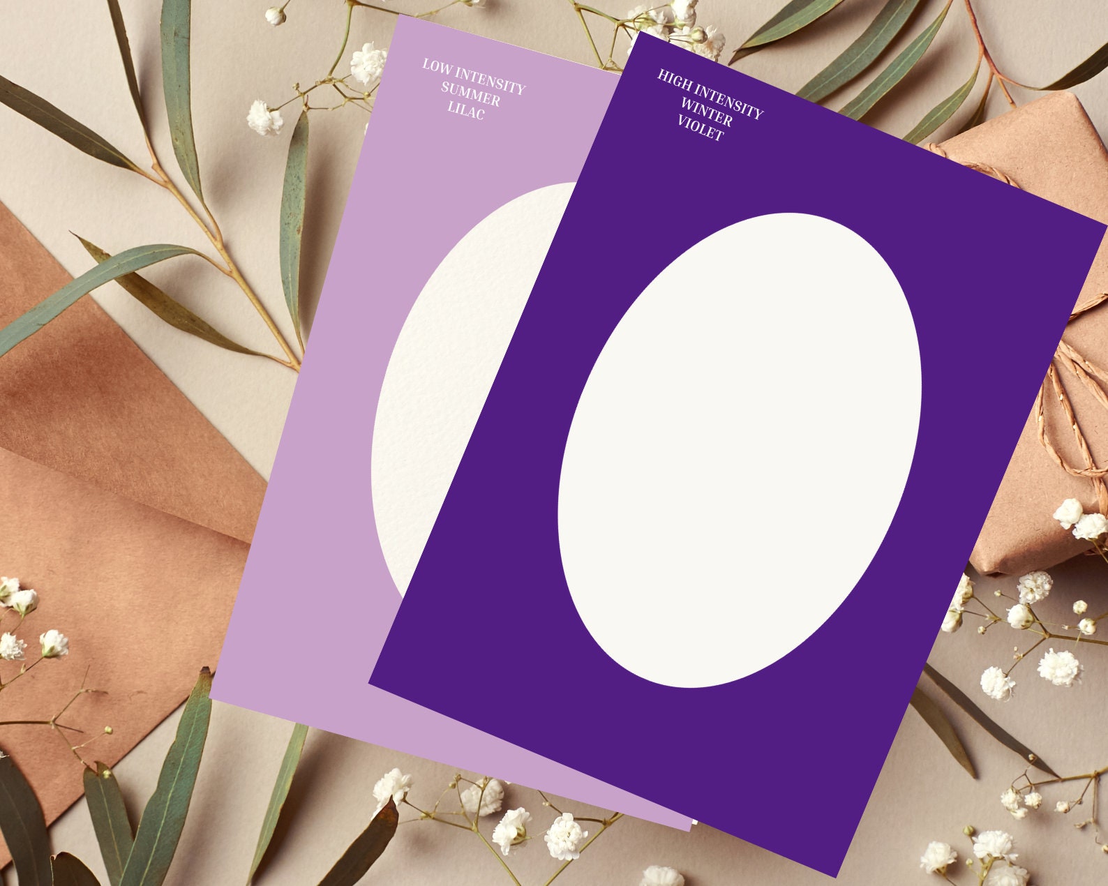 Color Analysis Kit Frames Passepartout Diy and Image Consultant ...