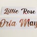 1 X Personalised CHROME Vinyl Decal Sticker / Word Cut Vinyl Decal ...