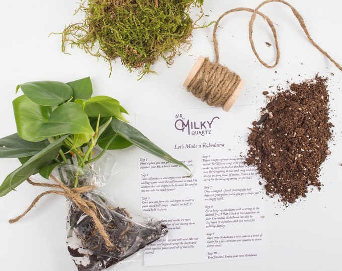 KOKEDAMA KIT - Etsy
