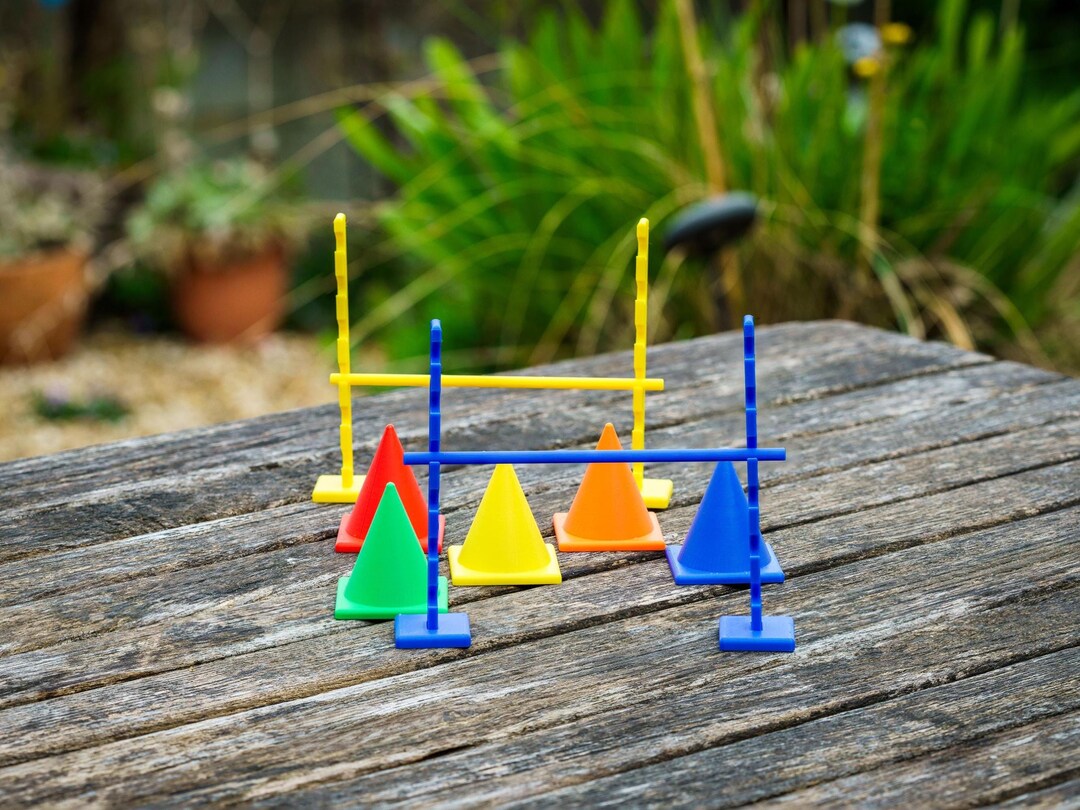 Set of Small Cones and Jumping Obstacles for Rats – Train Your Furry ...