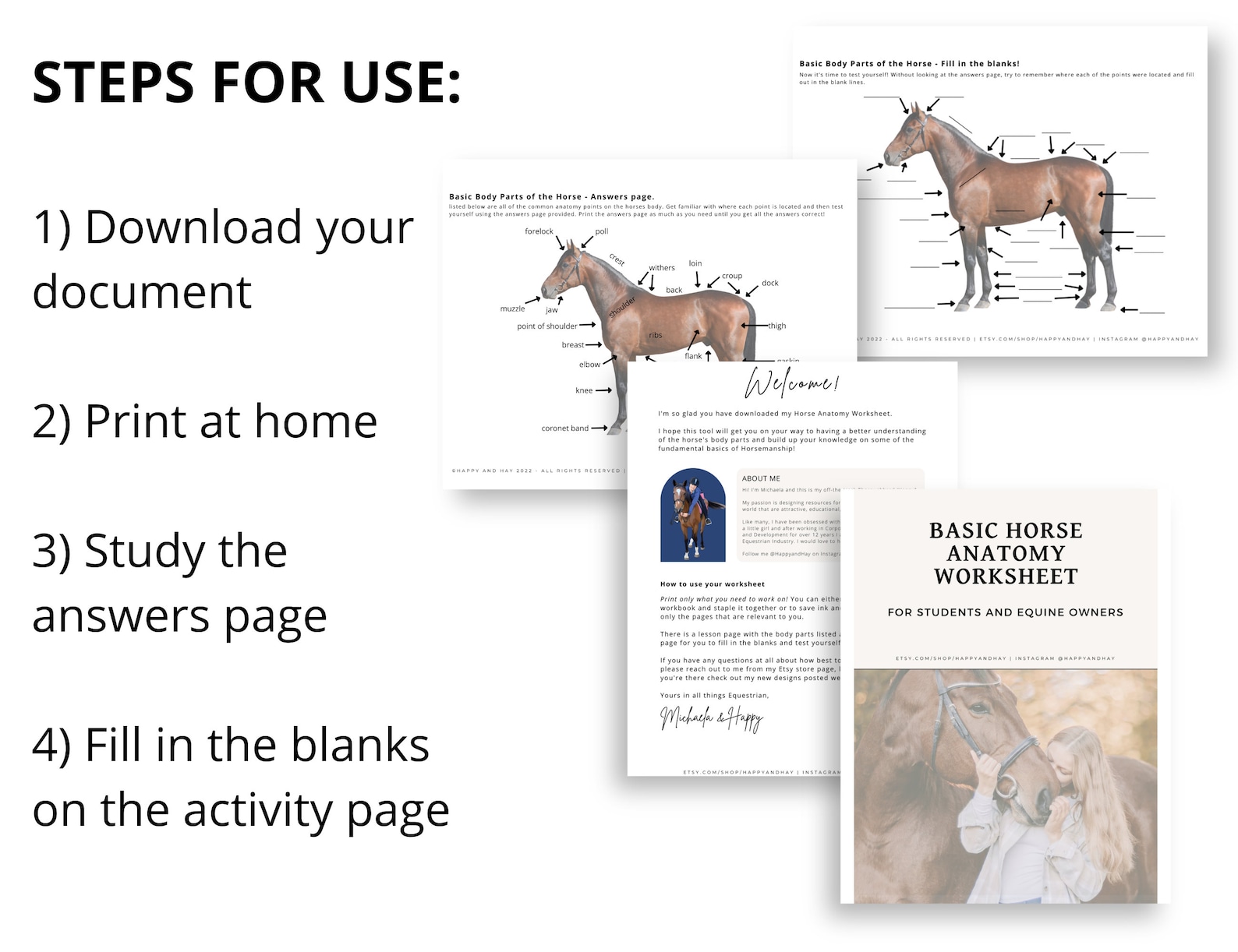 Parts of the Horse Hoof Anatomy Worksheet | Educational Horse ...