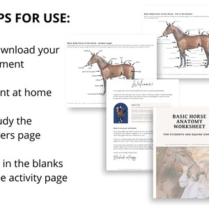 Parts of the Horse Hoof Anatomy Worksheet | Educational Horse ...