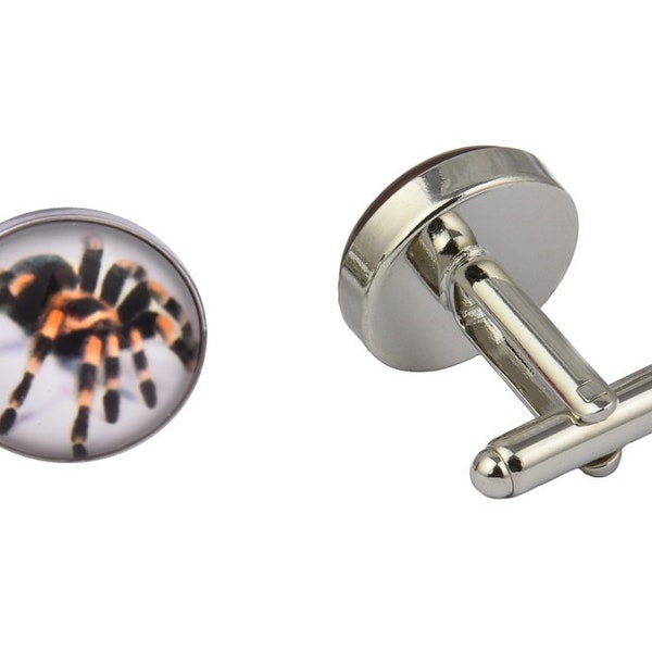 Spider Insect - Etsy