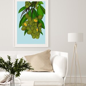 Guinep Art Print: Jamaican Kitchen Decor, Exotic Fruit Illustration - Etsy