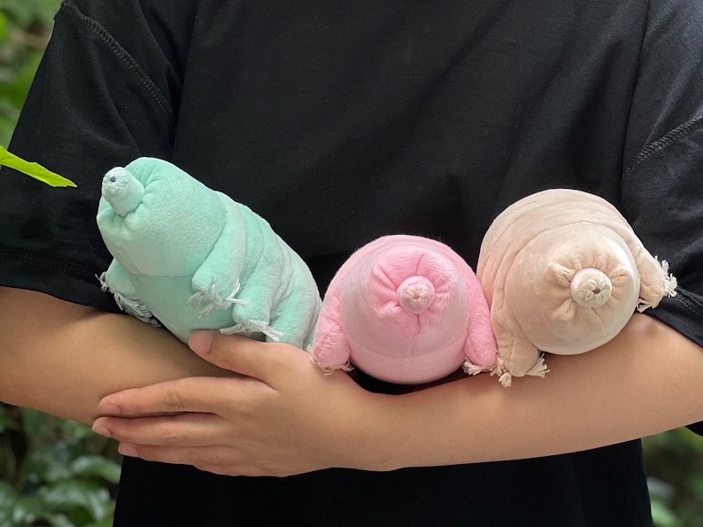 Tardigrade/water Bear Handmade Plushie - Etsy
