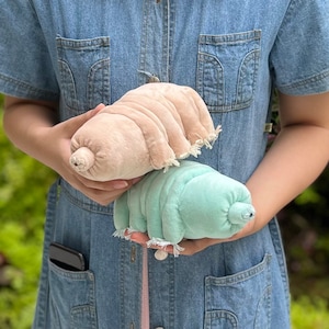 Tardigrade/water Bear Handmade Plushie - Etsy