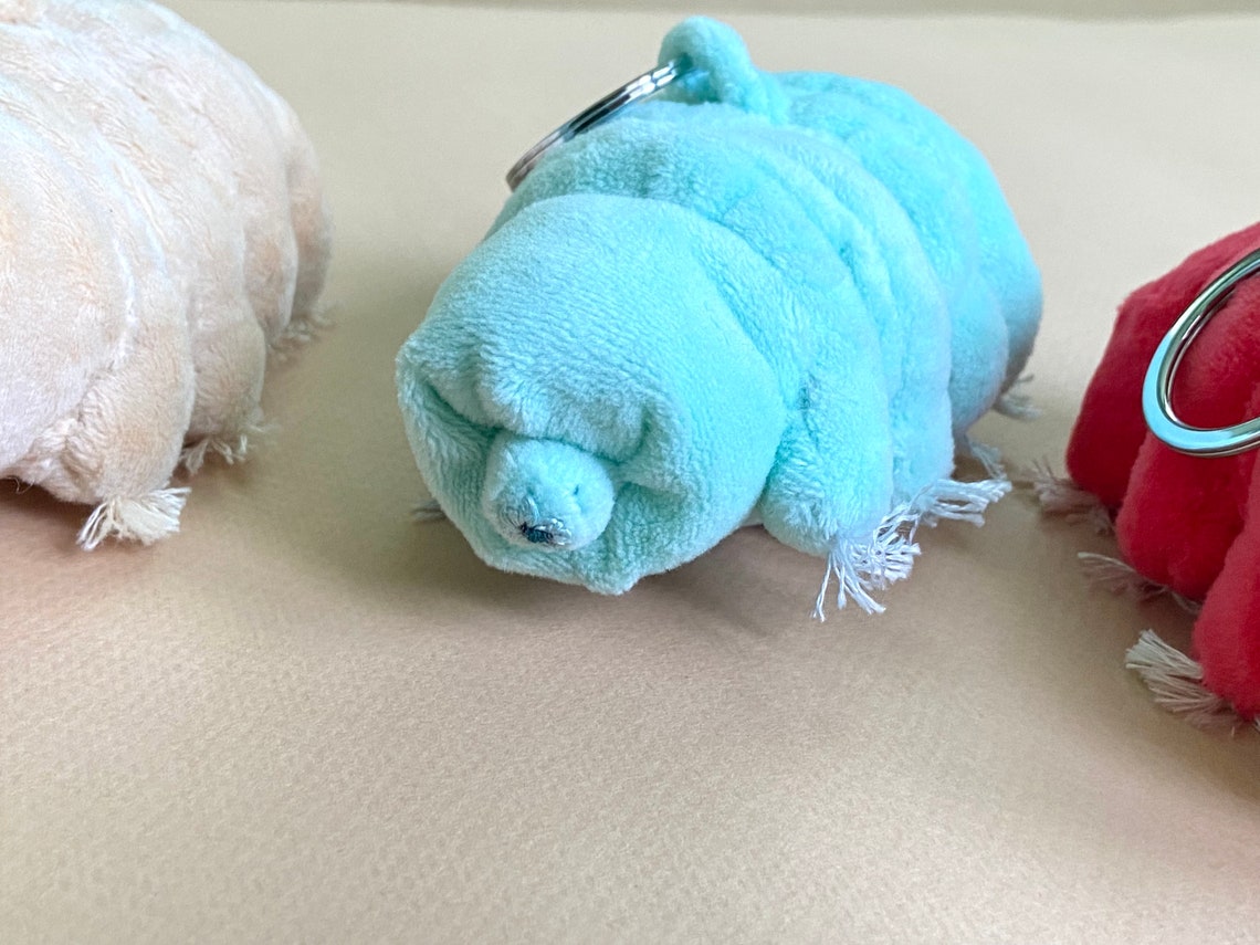 Tardigrade/water Bear Handmade Plushie Keychain - Etsy