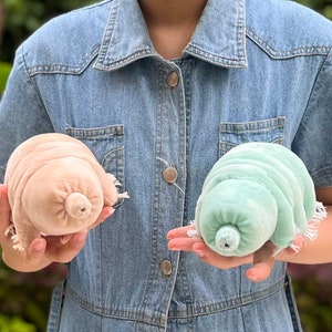 Tardigrade/water Bear Handmade Plushie - Etsy