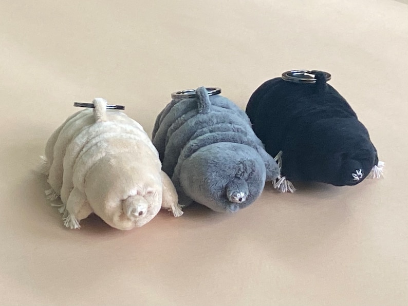 Tardigrade/water Bear Handmade Plushie Keychain - Etsy