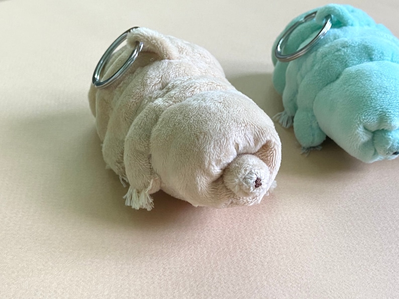 Tardigrade/water Bear Handmade Plushie Keychain - Etsy