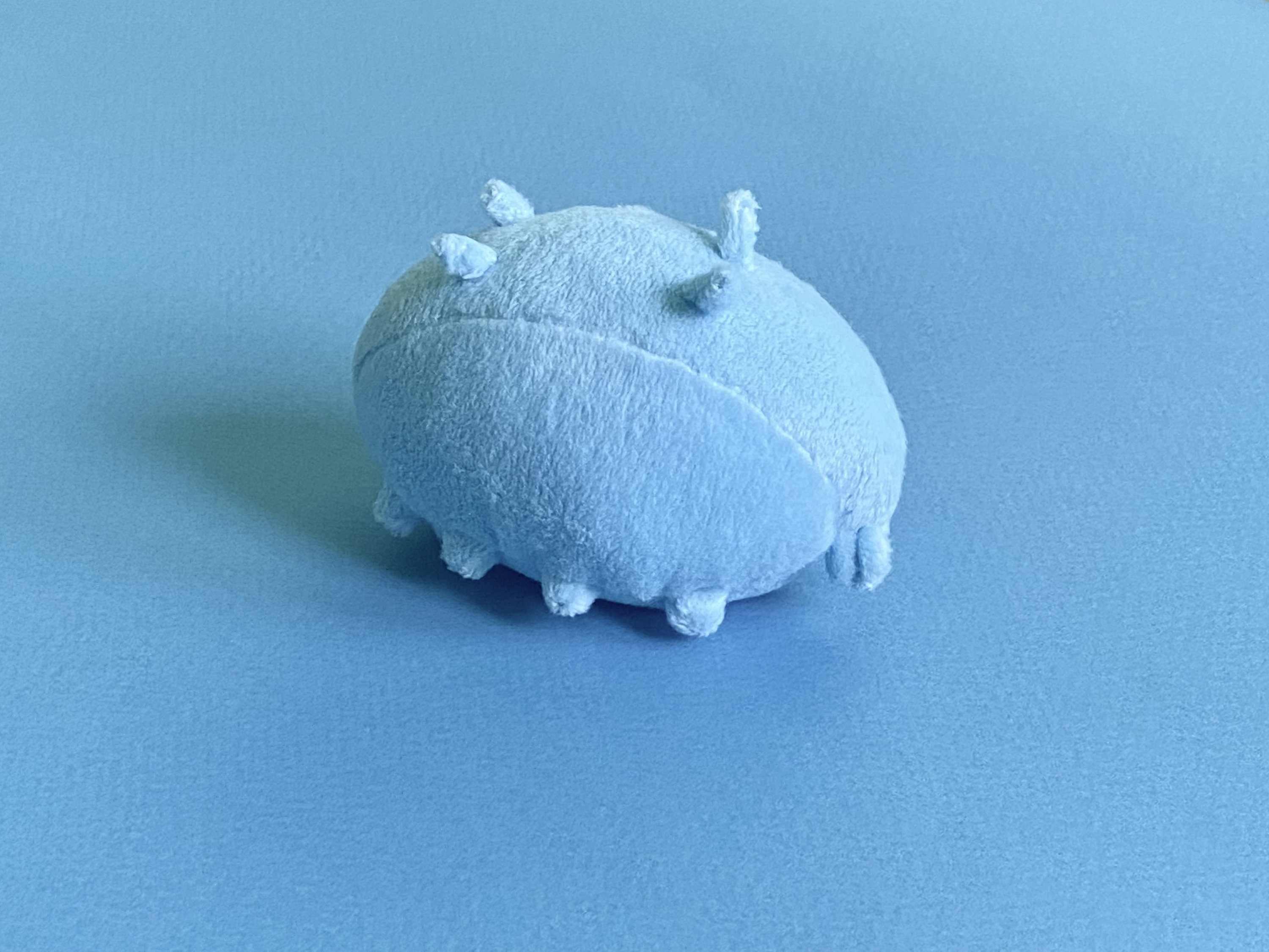 Scotoplanes/sea Pig Handmade Plushie - Etsy