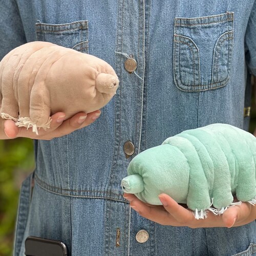 Tardigrade/water Bear Handmade Plushie Keychain - Etsy