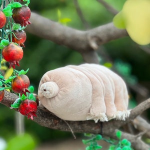 Tardigrade/water Bear Handmade Plushie - Etsy